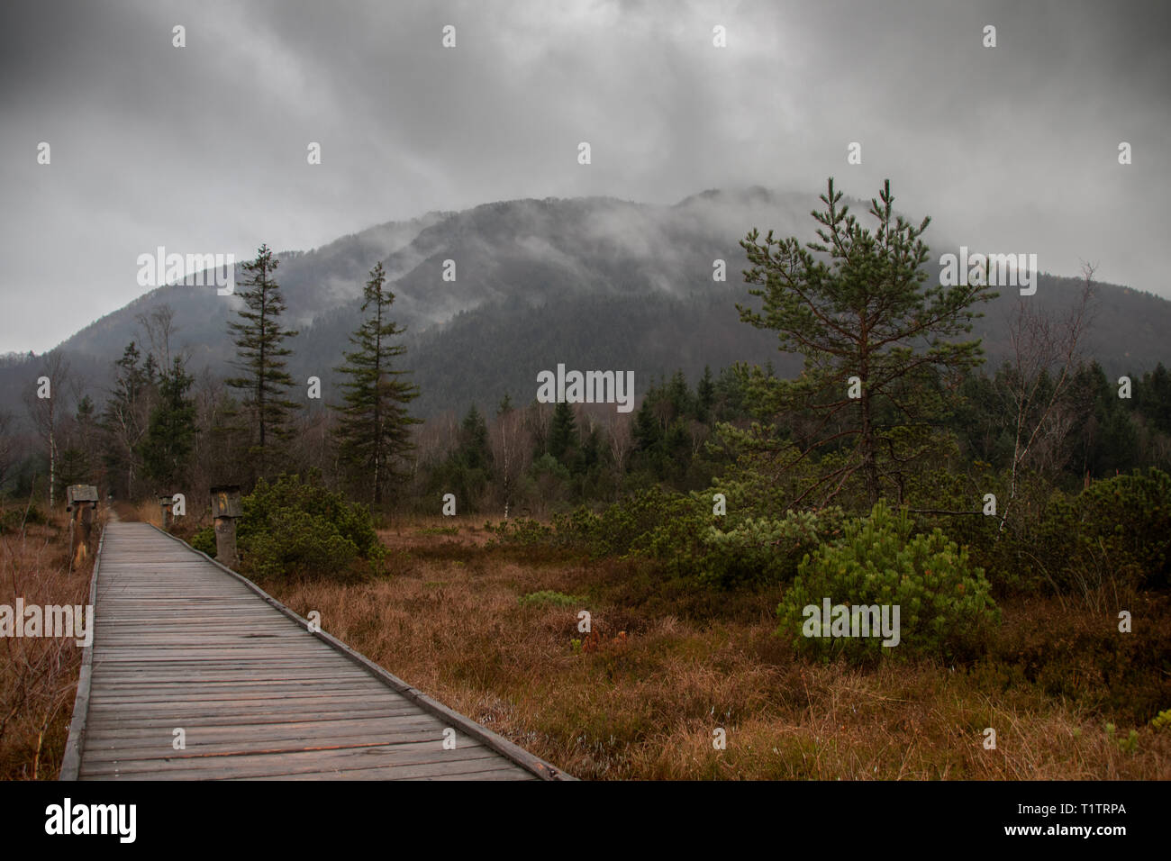 Misty moorland hi-res stock photography and images - Alamy