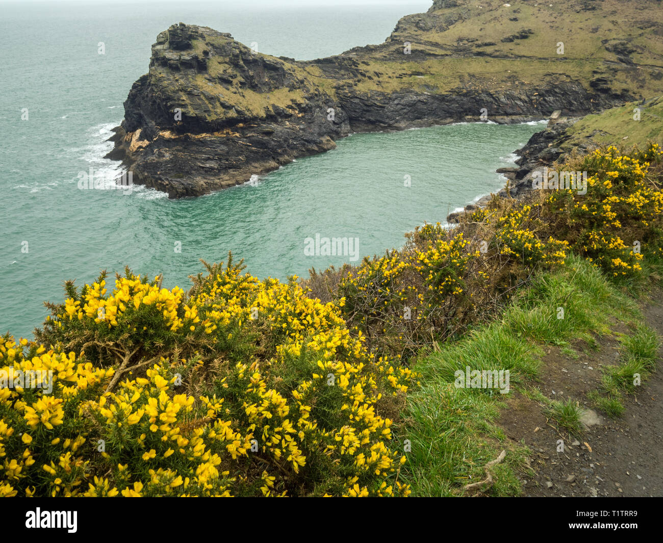 The beautiful and rugged Cornish coastline at Boscastle Stock Photo - Alamy