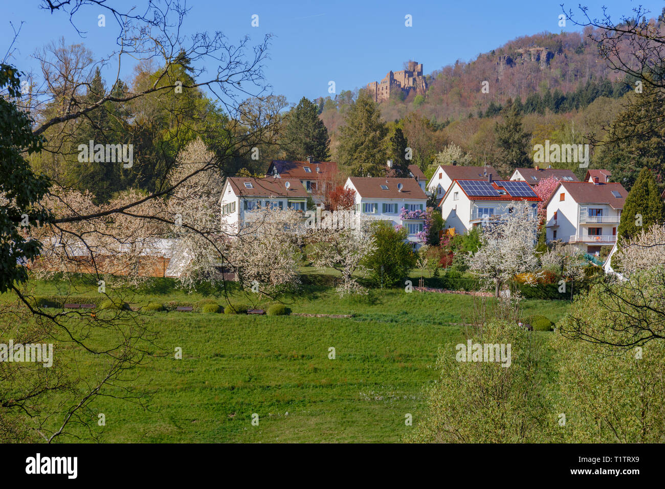 Baden-Baden is a spa town in the Black Forest, southwest of Germany and ...