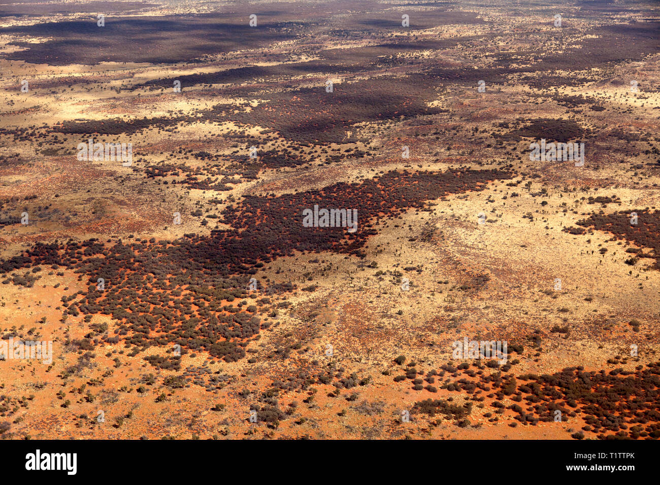 Aerial view of the native bush in Uluṟu-Kata Tjuṯa National Park ...