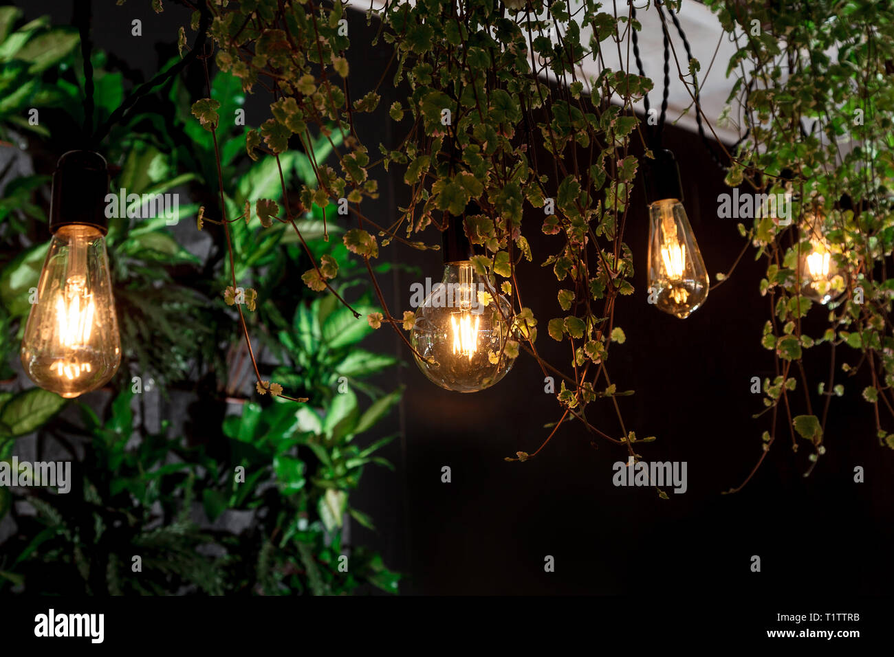 Design of yellow vintage bulbs and tropical green leaves. Retro ...