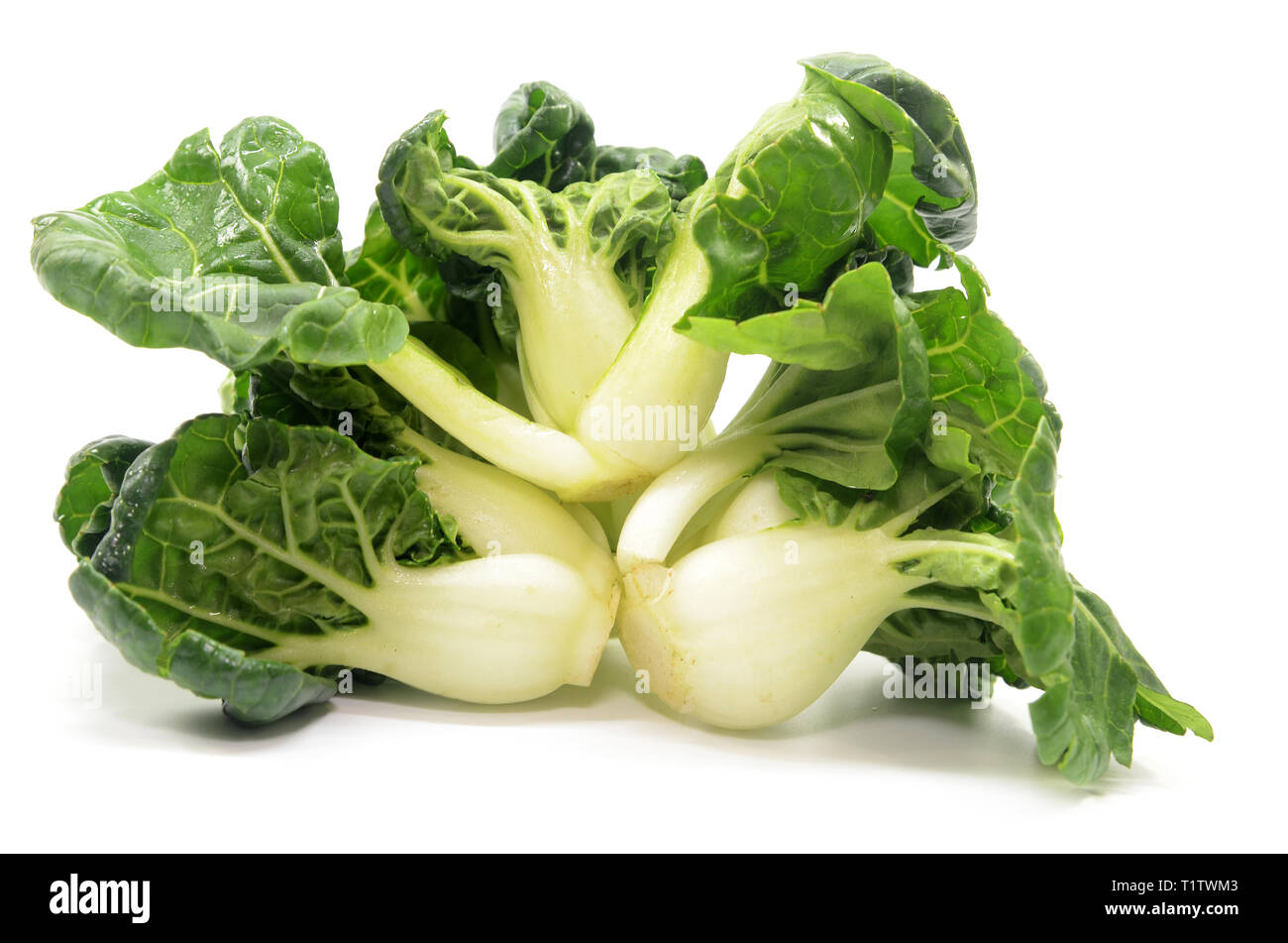 Milk cabbage bok choy isolated on white Stock Photo - Alamy