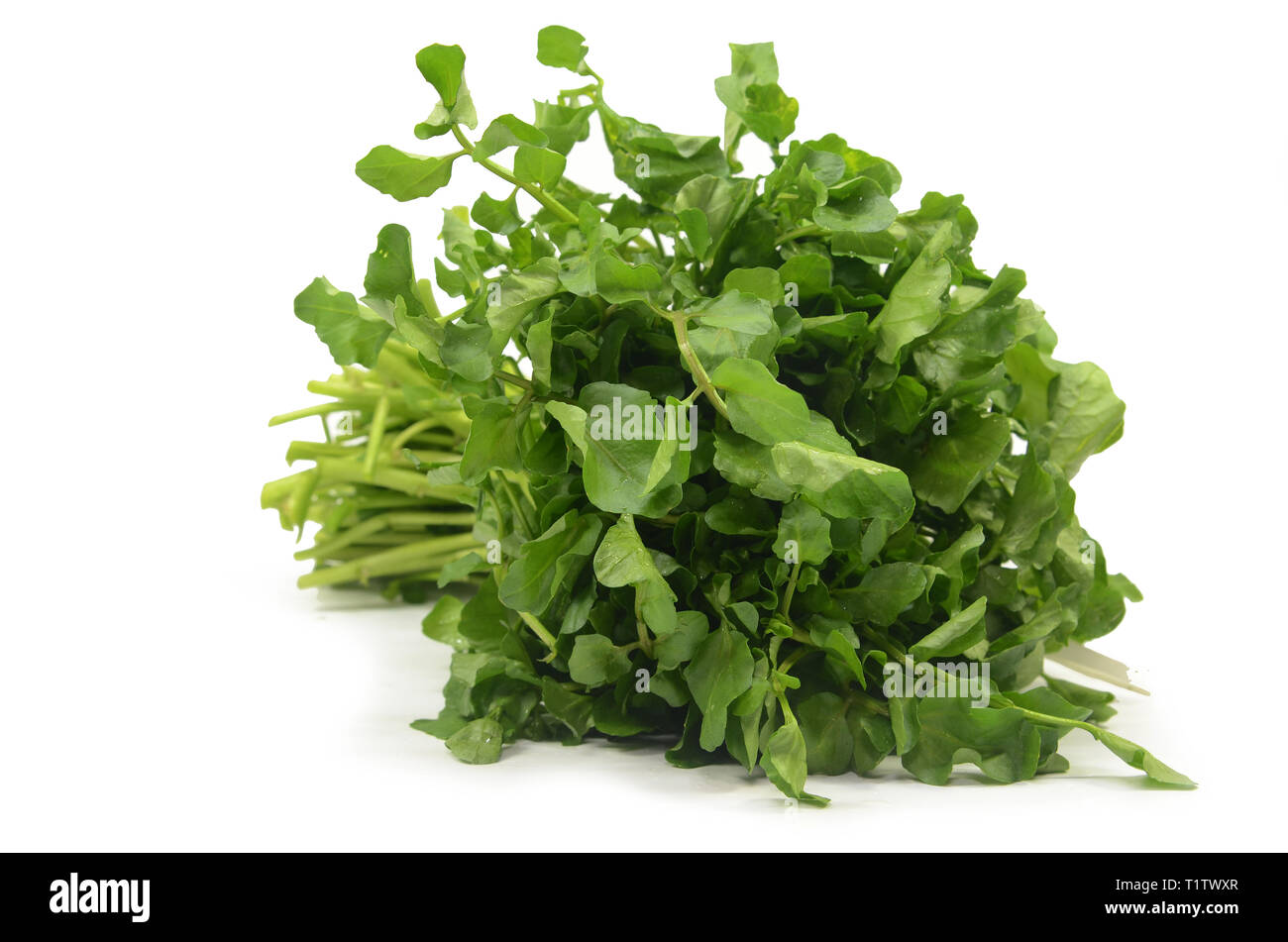 Watercress water cress bunch hi-res stock photography and images - Alamy