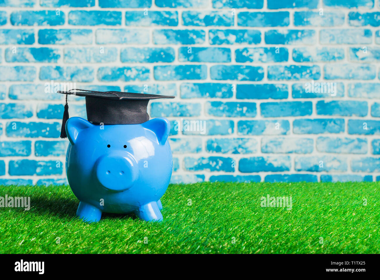 College graduate student diploma piggy bank Stock Photo - Alamy