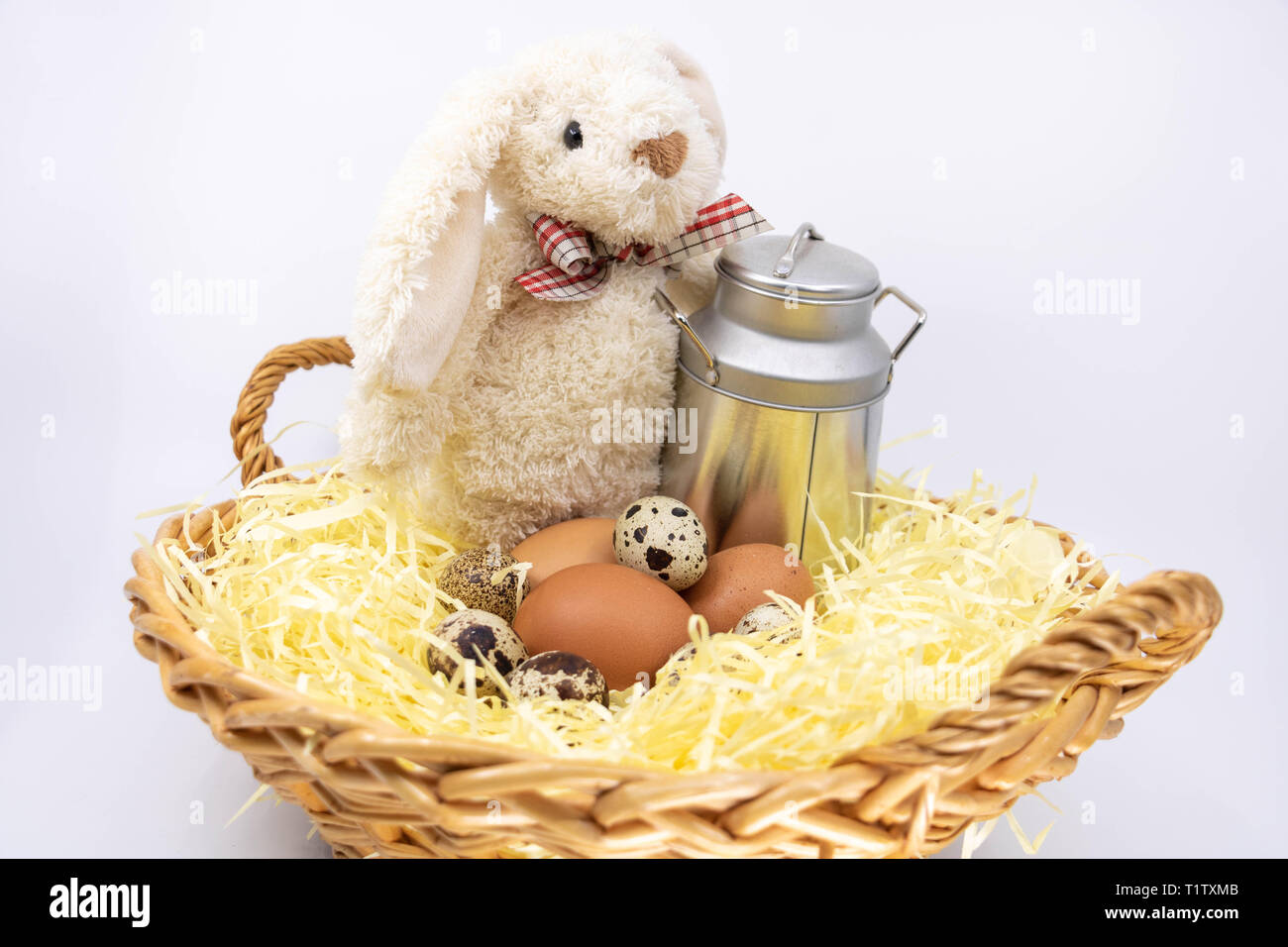 Easter bunny and fresh farm produce Stock Photo - Alamy