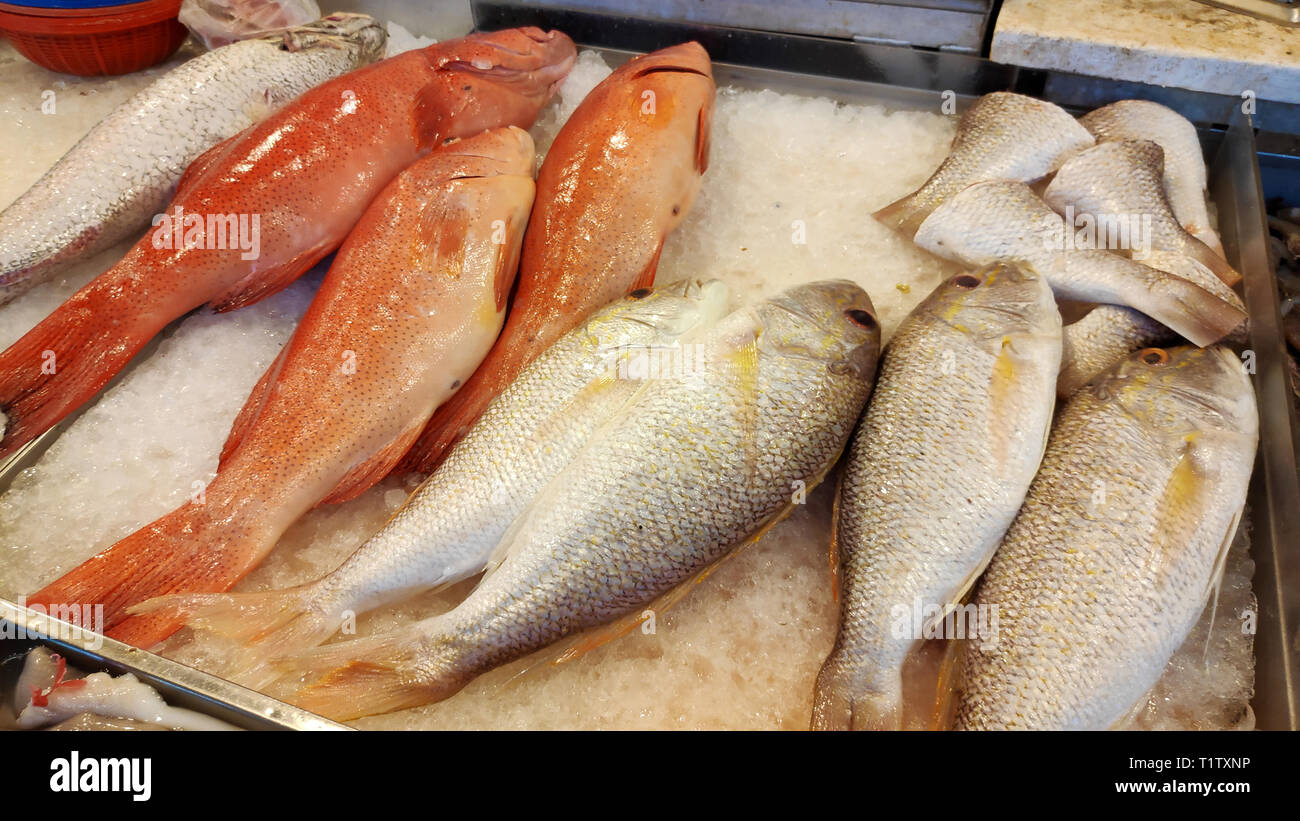 Fresh fish sold at a fish market Stock Photo - Alamy