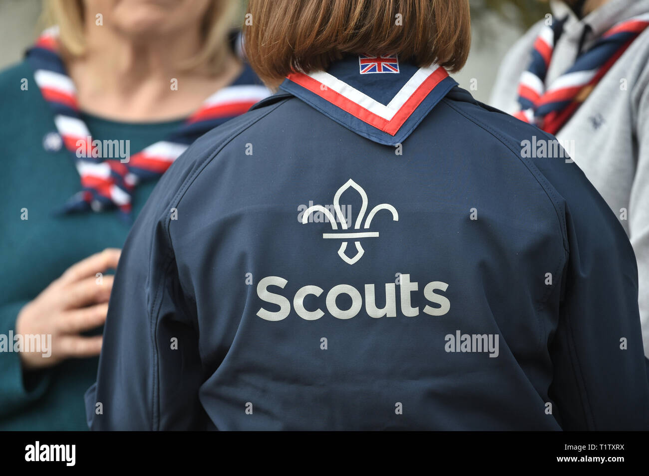 Scout leaders shirt hi-res stock photography and images - Alamy