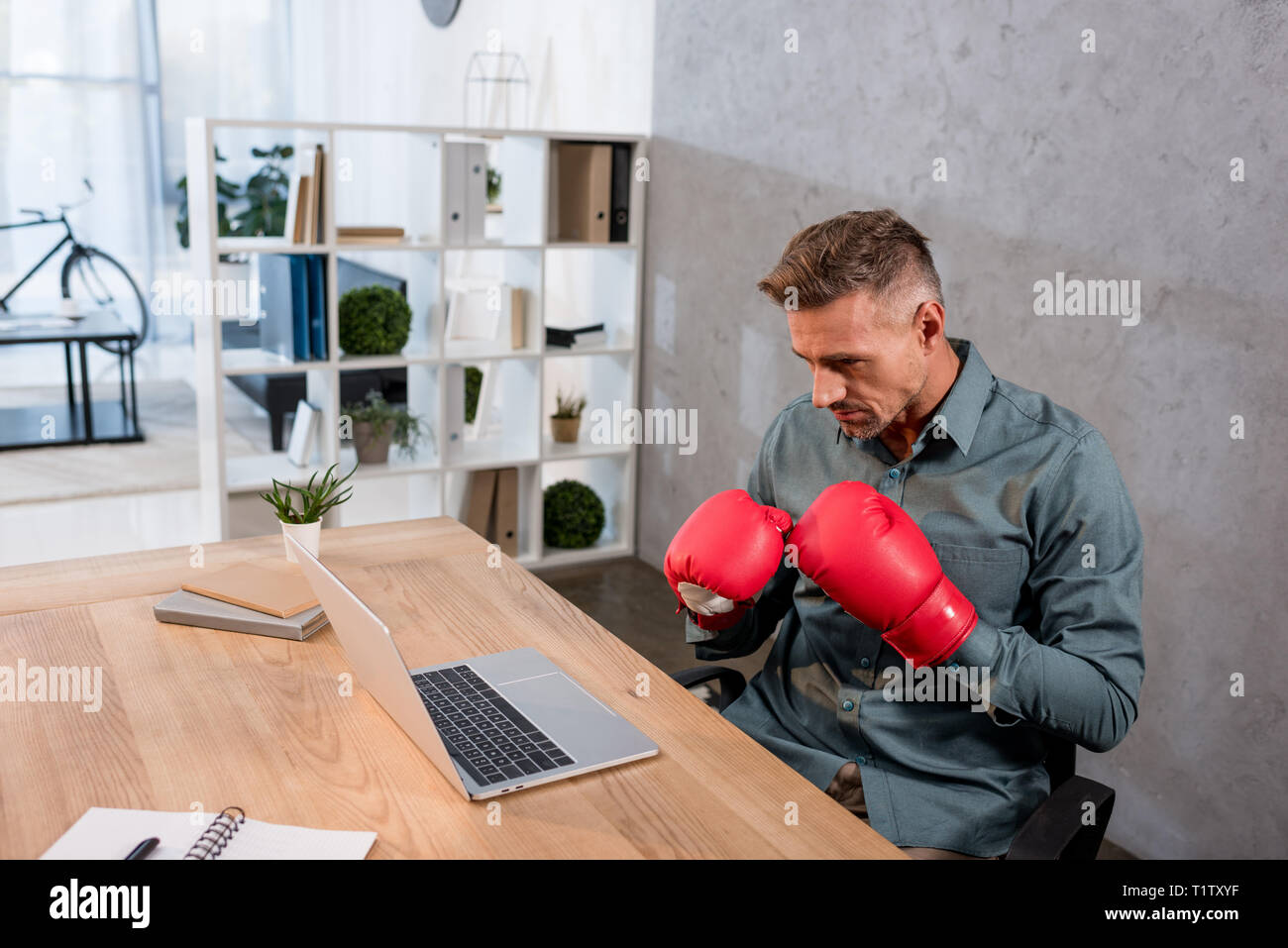 People cheering on boxing hi-res stock photography and images - Alamy