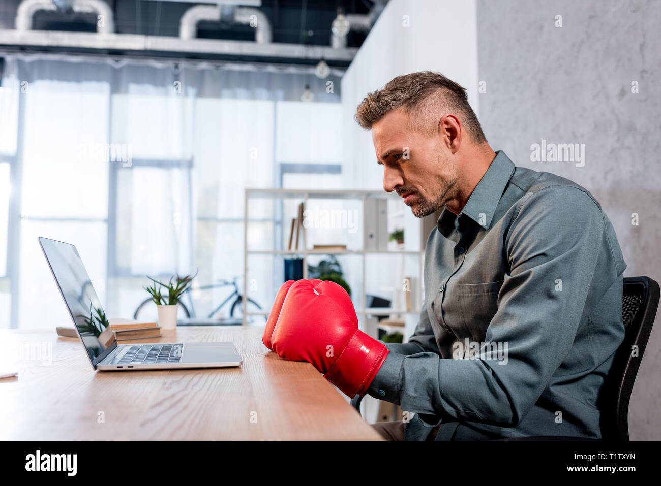 Boxing match cheering hi-res stock photography and images - Alamy