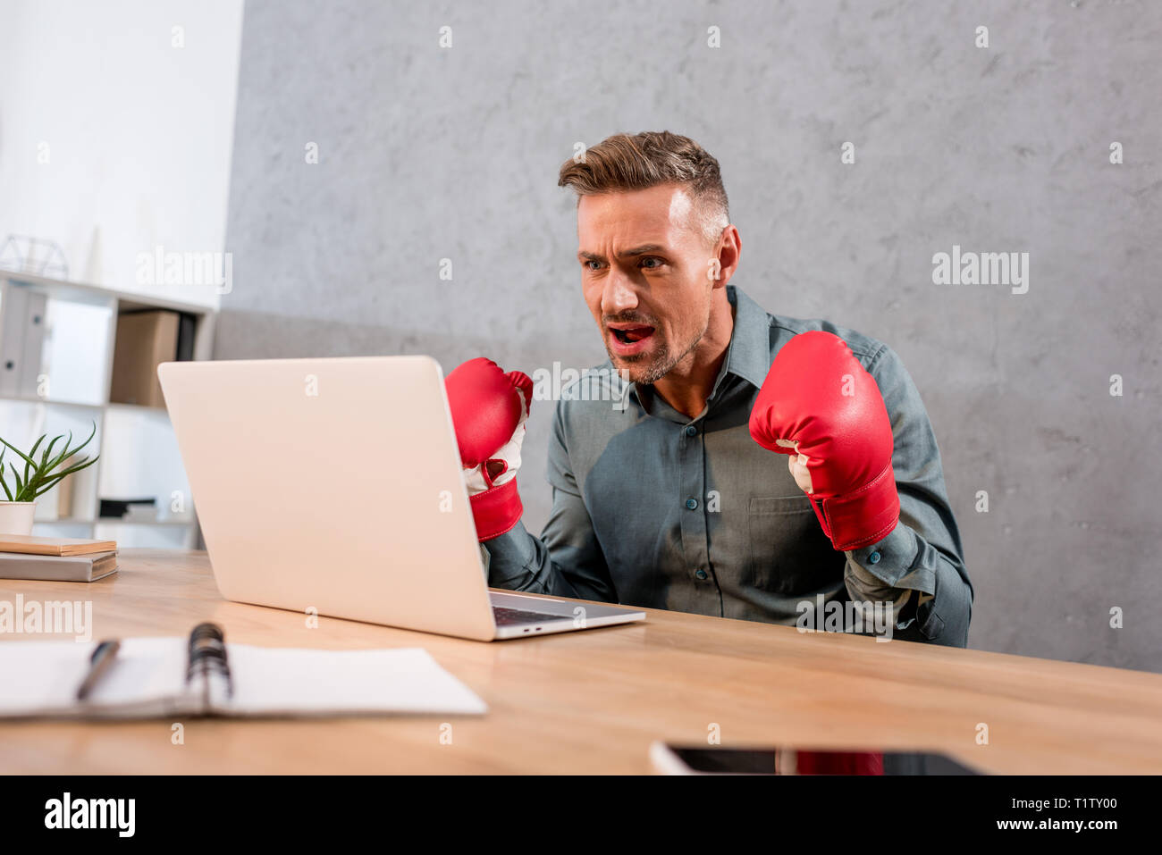 Boxing match cheering hi-res stock photography and images - Alamy