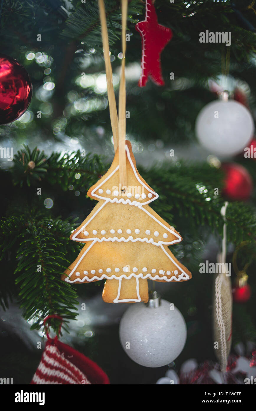Iced tree hi-res stock photography and images - Alamy