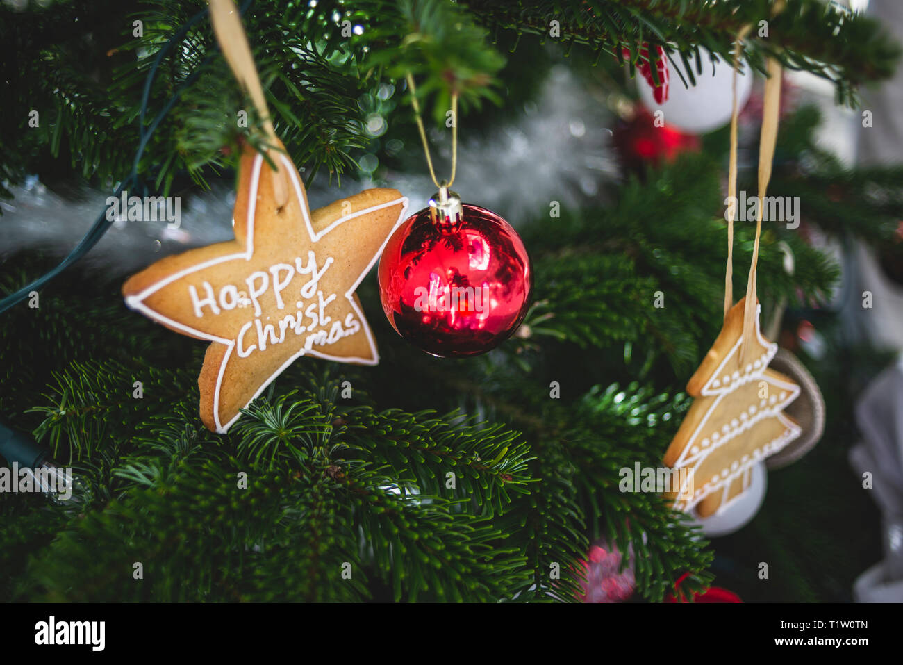 Iced tree hi-res stock photography and images - Alamy