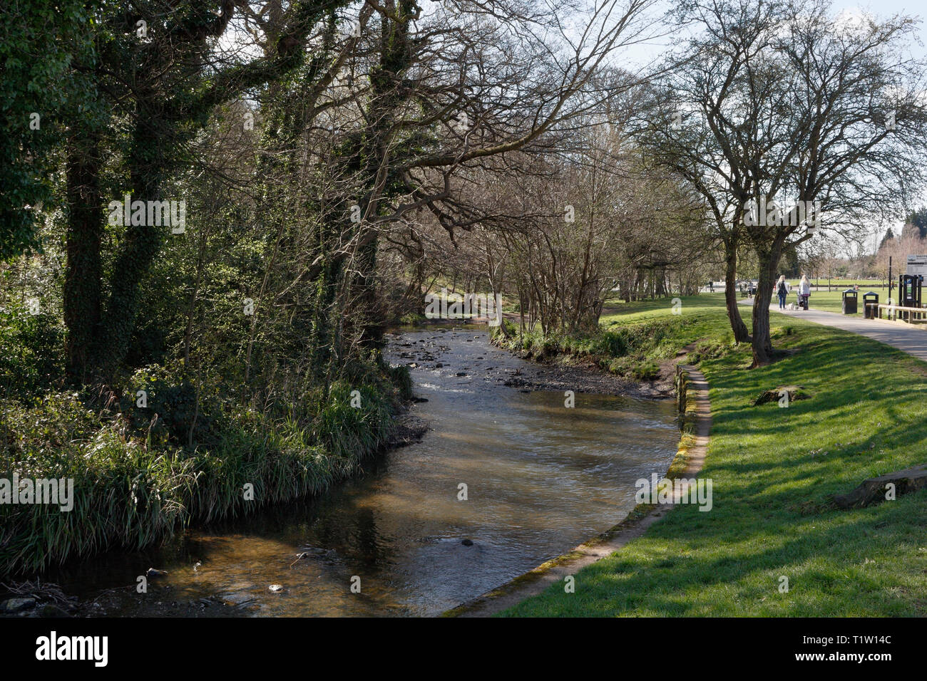 River Sheaf flowing through Millhouses Park, Sheffield England UK Stock ...