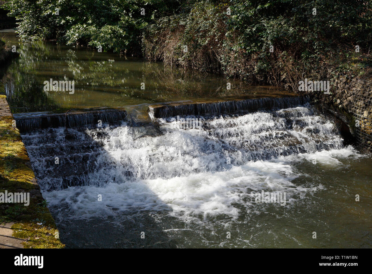River Sheaf flowing through Millhouses Park, Sheffield England UK Stock ...