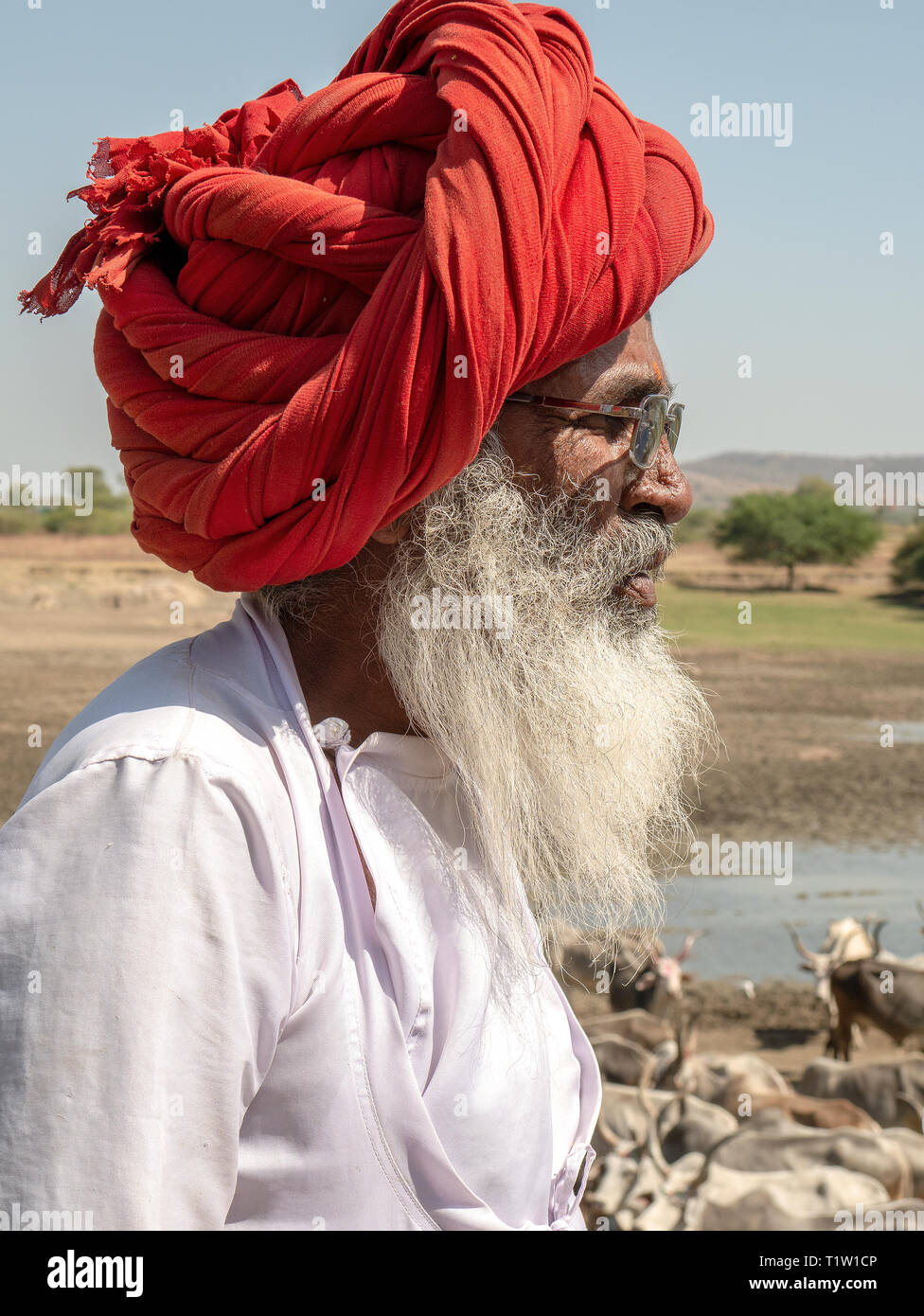 04-03-2019-Rabari tribesman with traditional turban, clothes and long ...