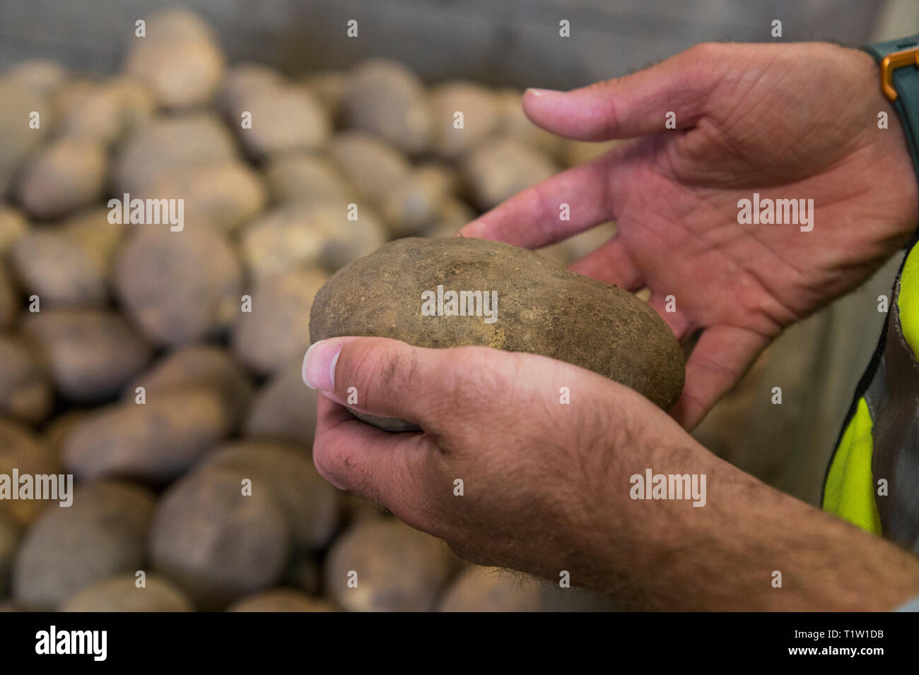 Quality process hi-res stock photography and images - Alamy