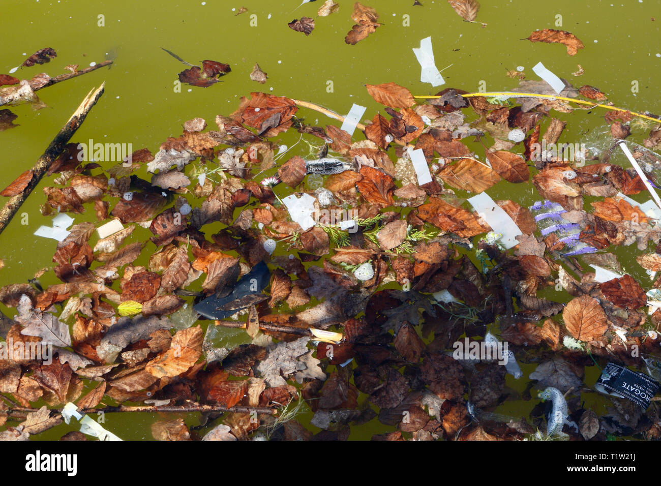 Waste pond hi-res stock photography and images - Alamy
