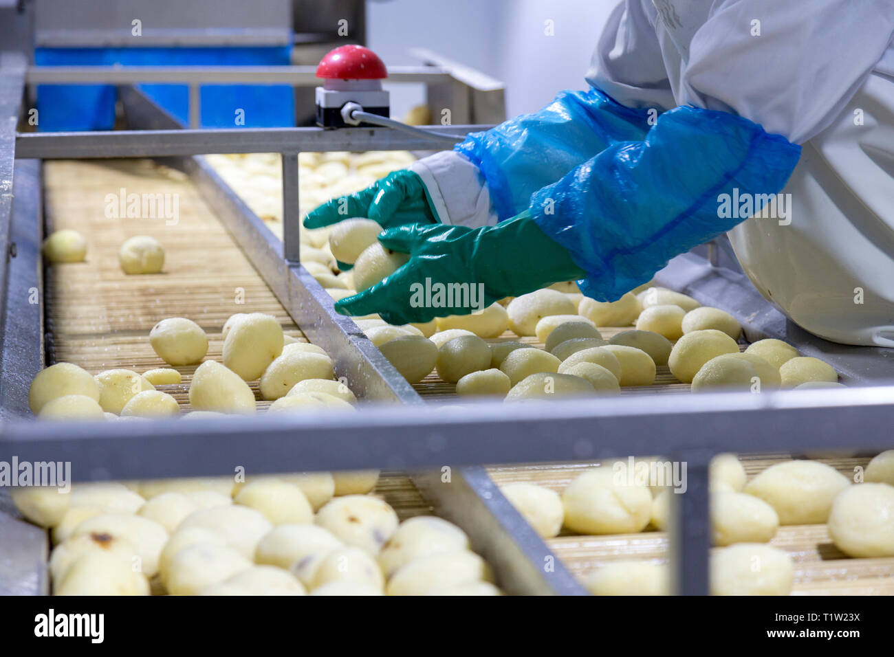 Factory farm potatoes hi-res stock photography and images - Alamy