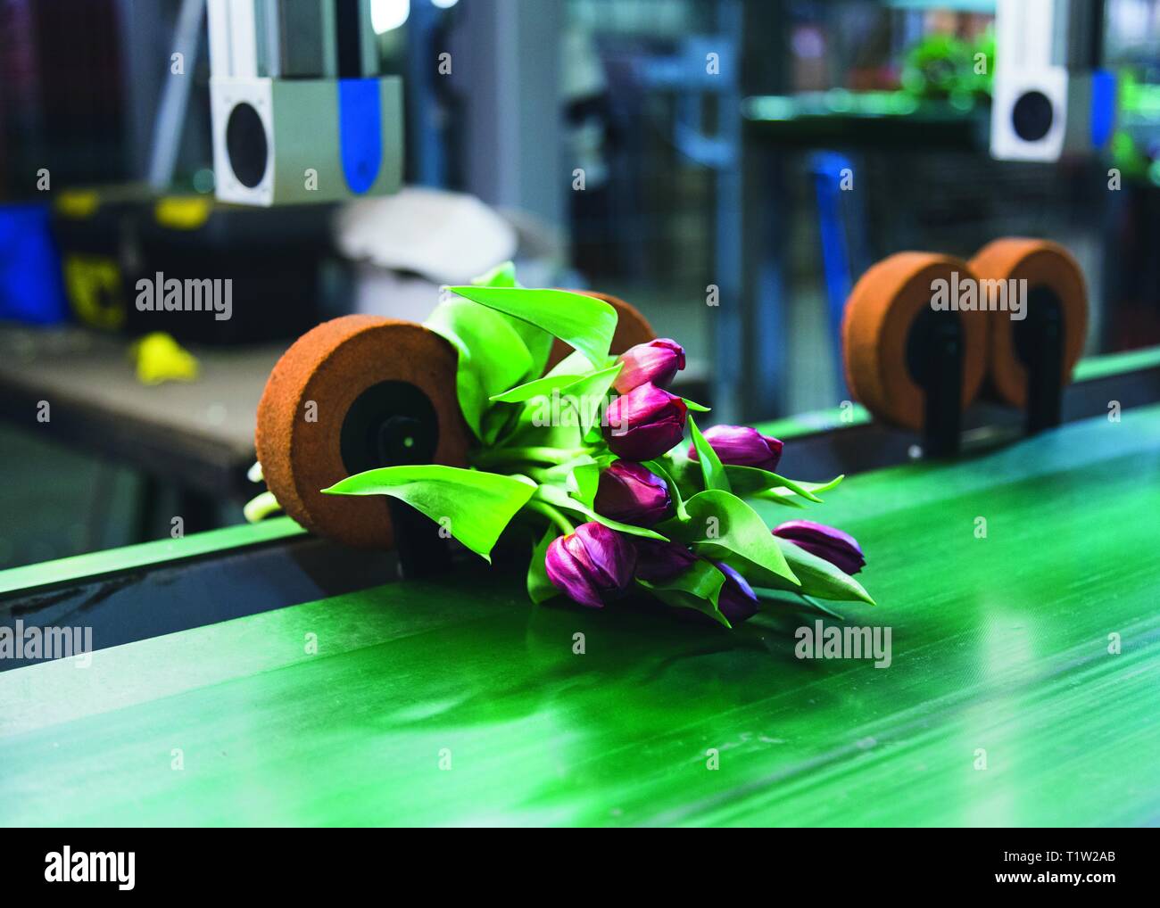 State ot the art flower processing Furora machine Stock Photo - Alamy