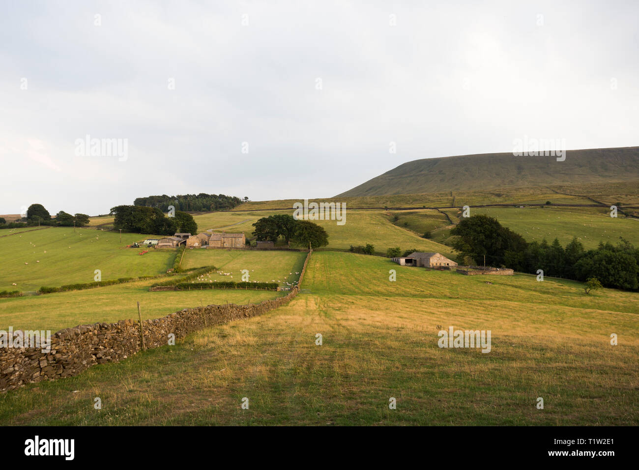 Lancashire field wall hi-res stock photography and images - Alamy