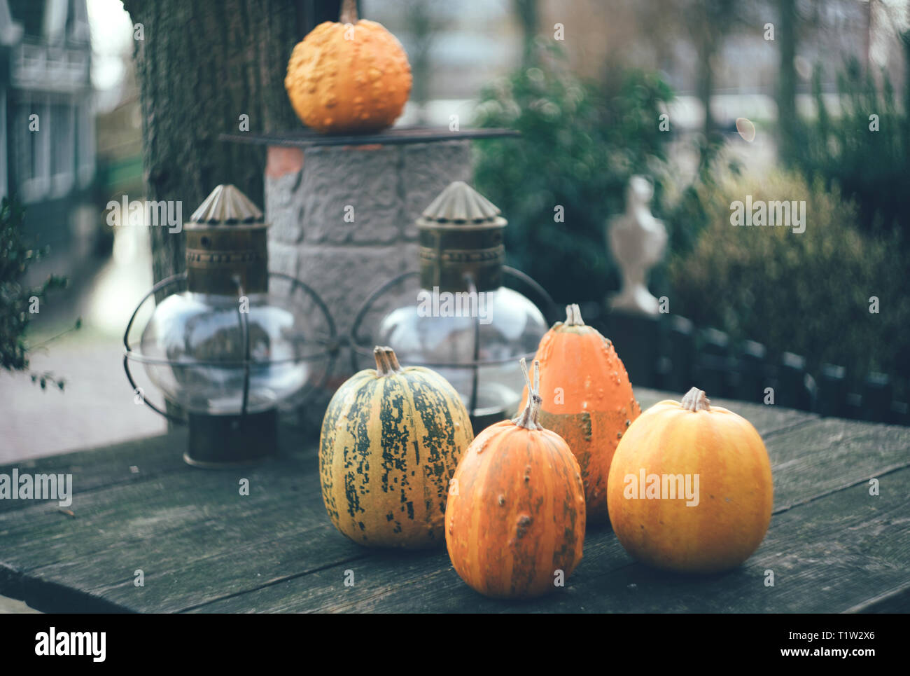 five pumpkins halloween Stock Photo - Alamy