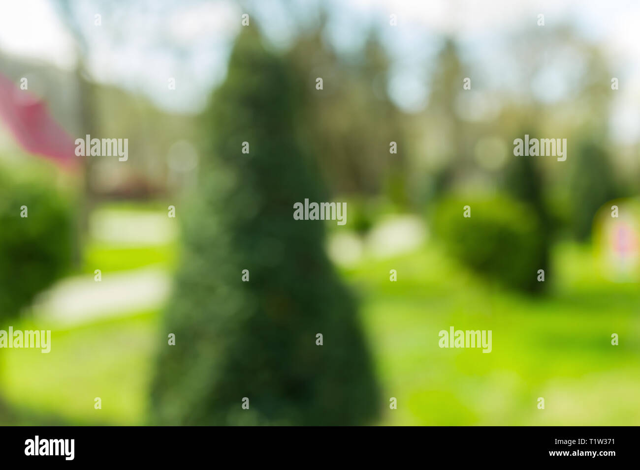 Blurred Nature Background Stock Photo - Alamy