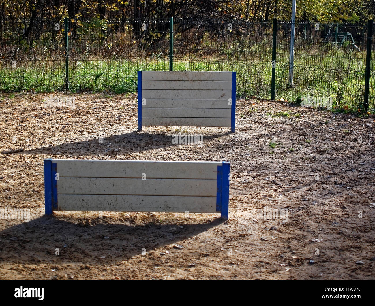 dog walking area on a clear day, Moscow Stock Photo - Alamy