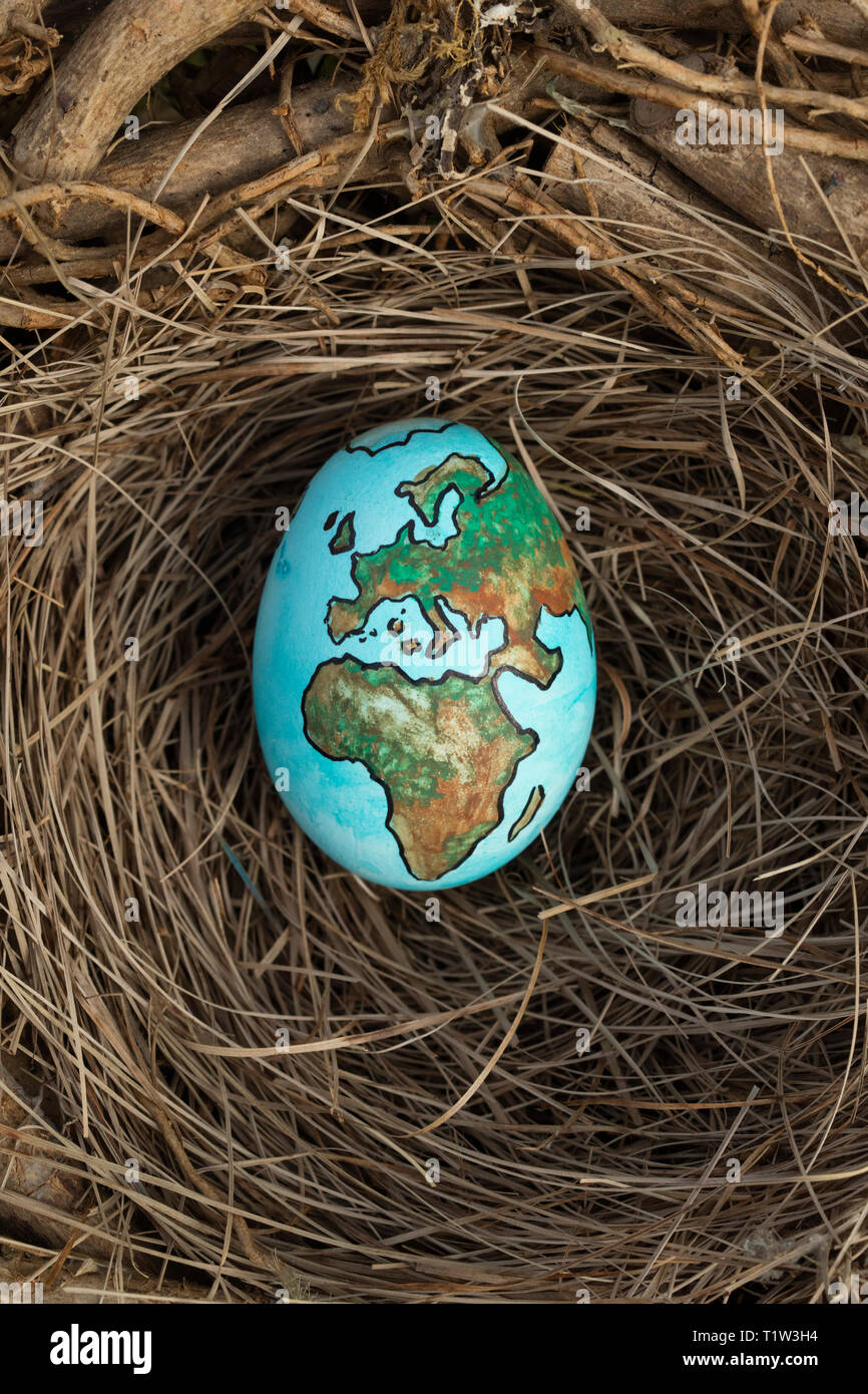 Planet Earth painted on an egg in a birds nest Stock Photo - Alamy