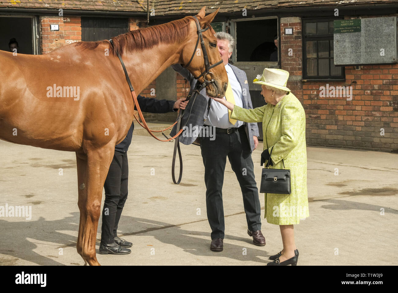 Queen Elizabeth II with trainer Paul Nicholls feeding carrots to ...