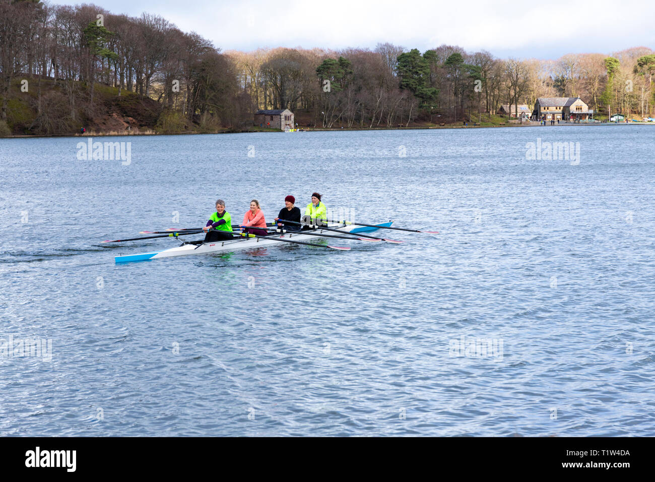 Rowing rower rowers boat boats boating rowboat rowboats hi-res stock ...