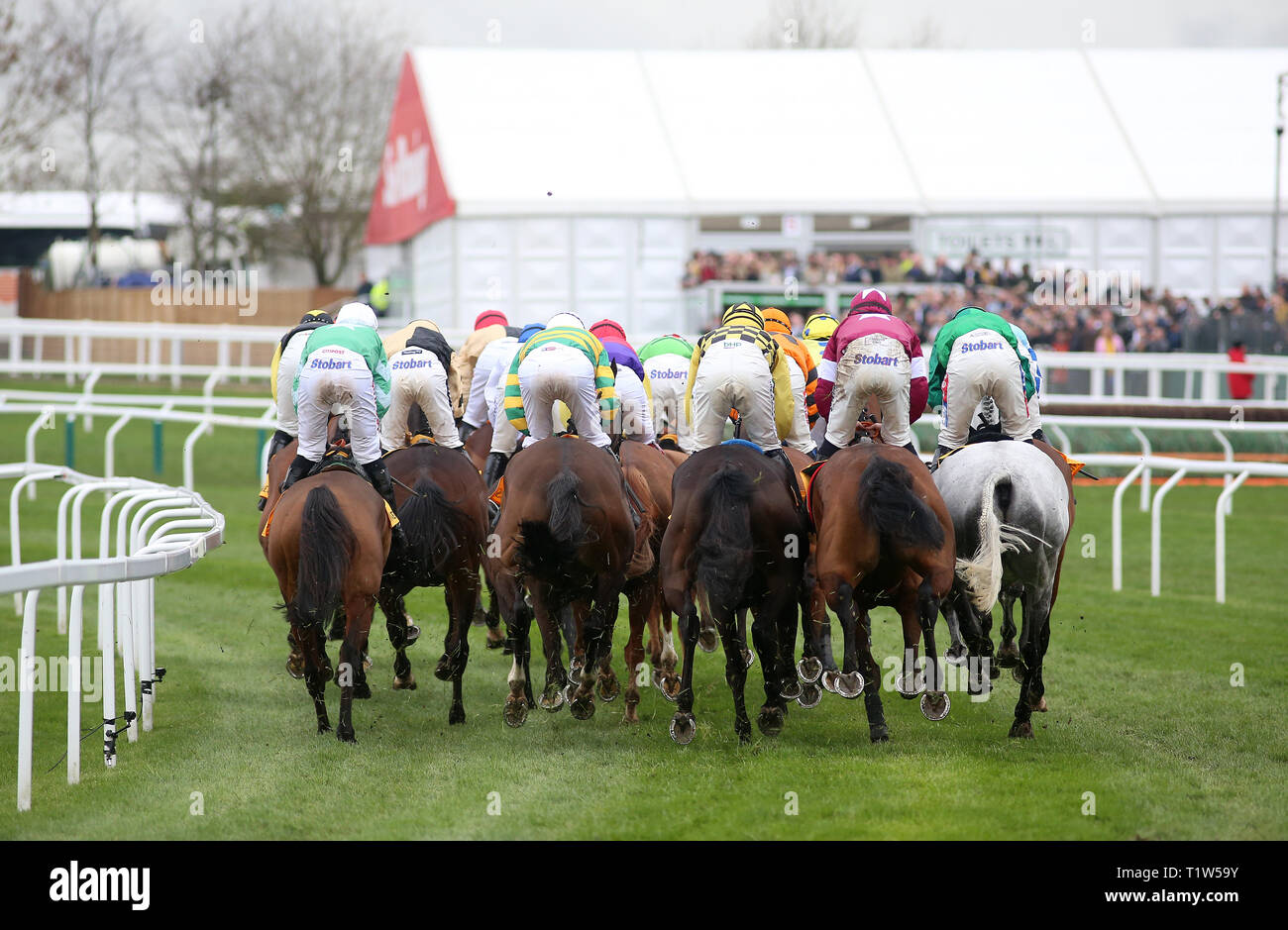 Runners and riders during the Magners Cheltenham Gold Cup Chase during ...