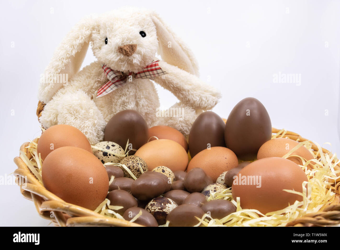 Easter party with Easter bunny and farm eggs Stock Photo - Alamy