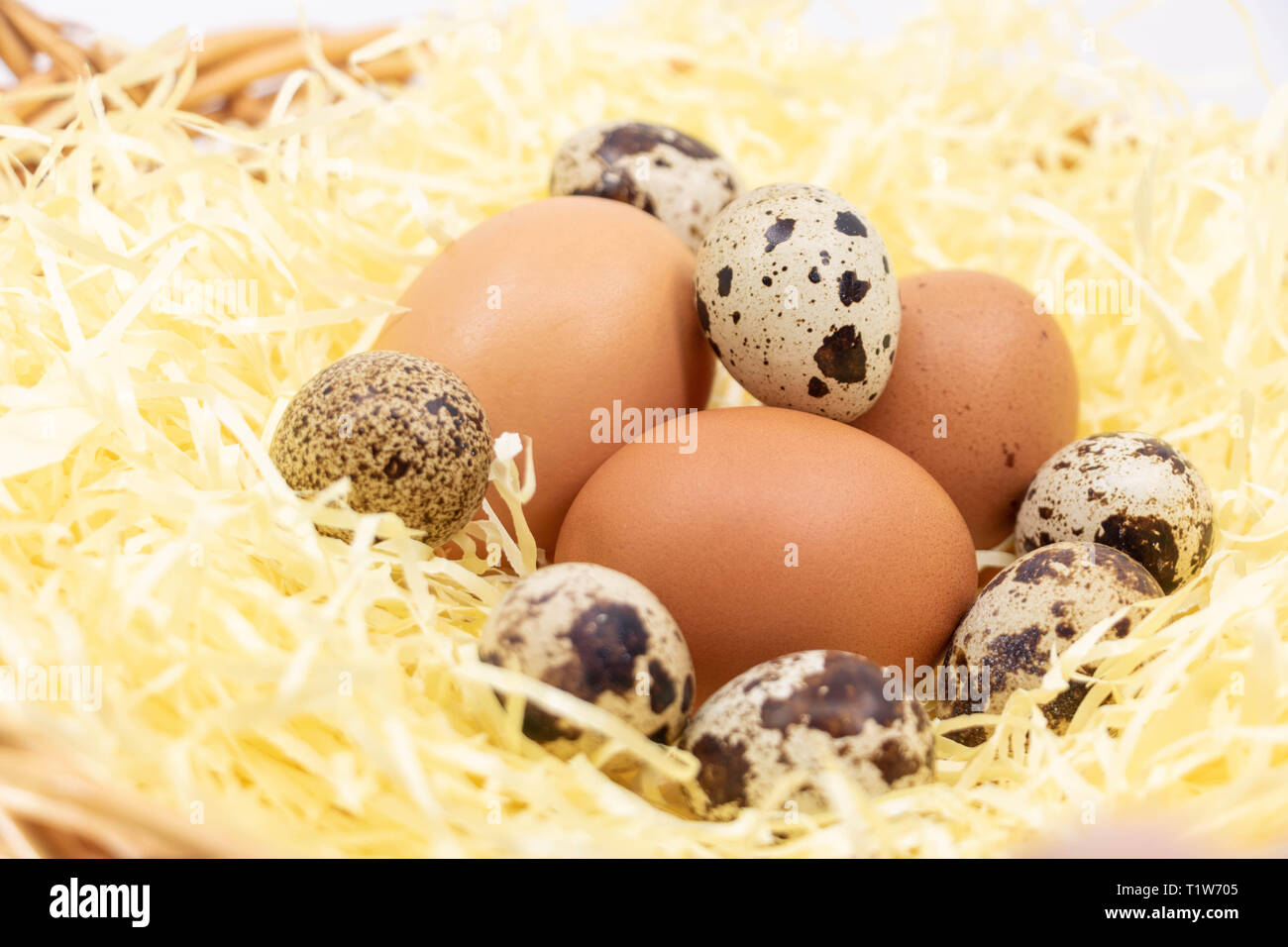 Eggs varieties hi-res stock photography and images - Alamy
