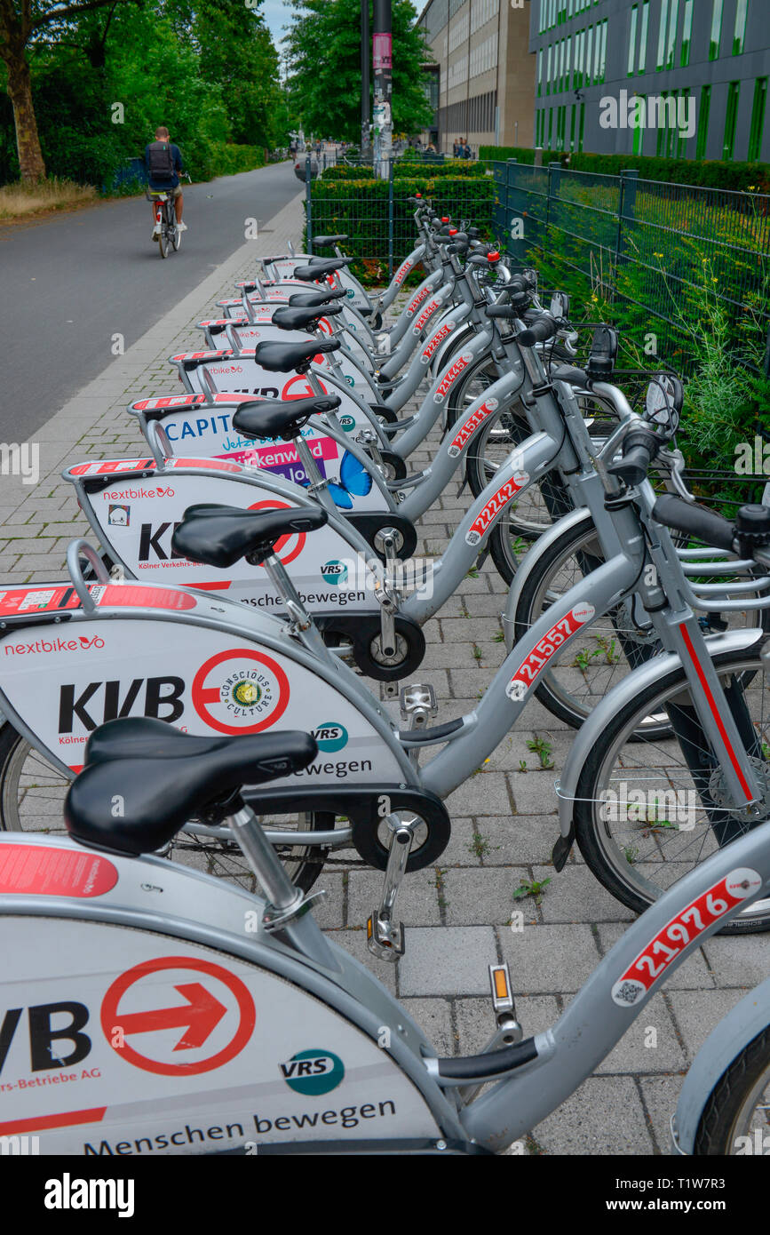Kvb raeder hi-res stock photography and images - Alamy