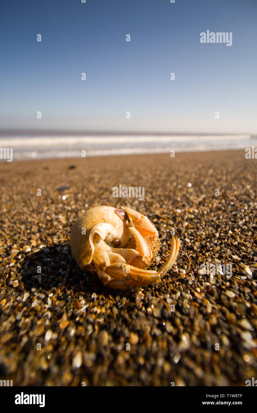 Geography background hi-res stock photography and images - Alamy