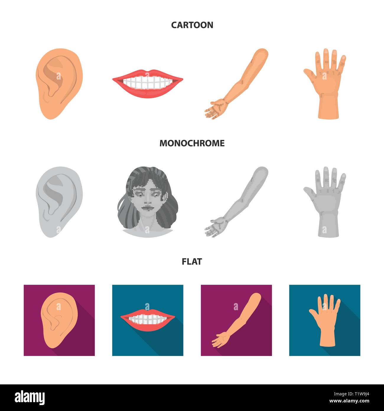 Isolated object of body and part symbol. Set of body and anatomy vector ...