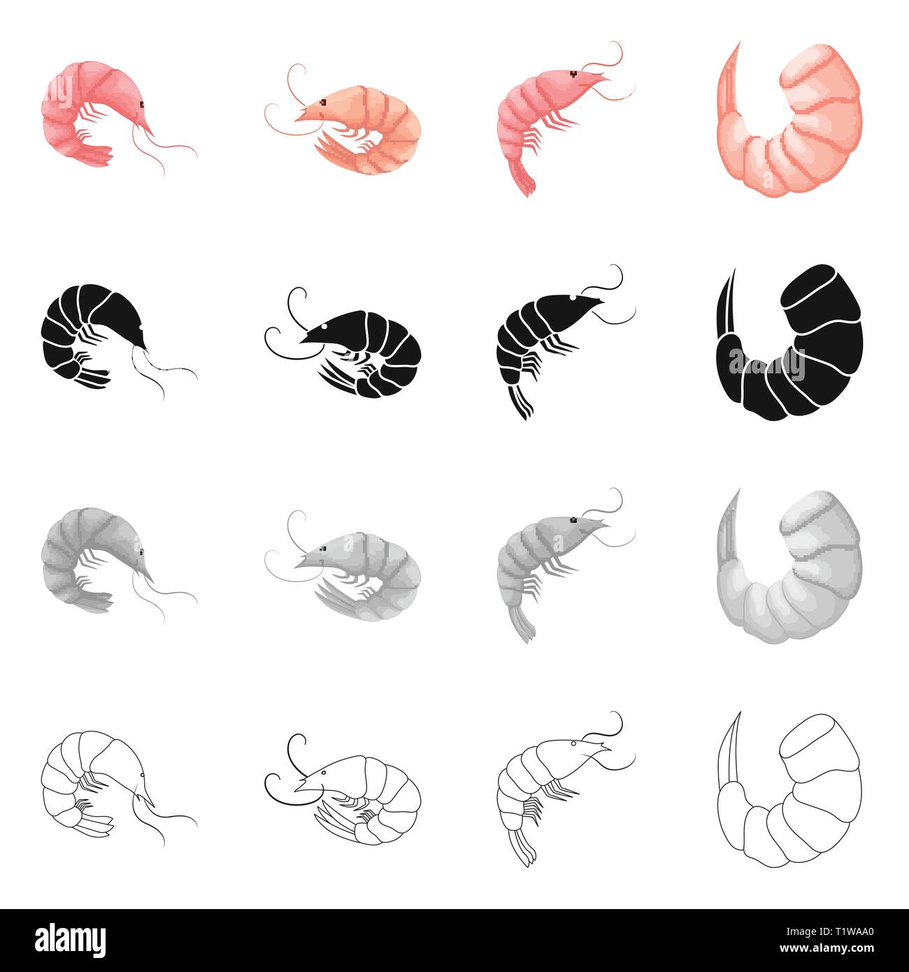 prawn,creature,raw,boiled,fresh,cooked,luxury,restaurant,underwater ...