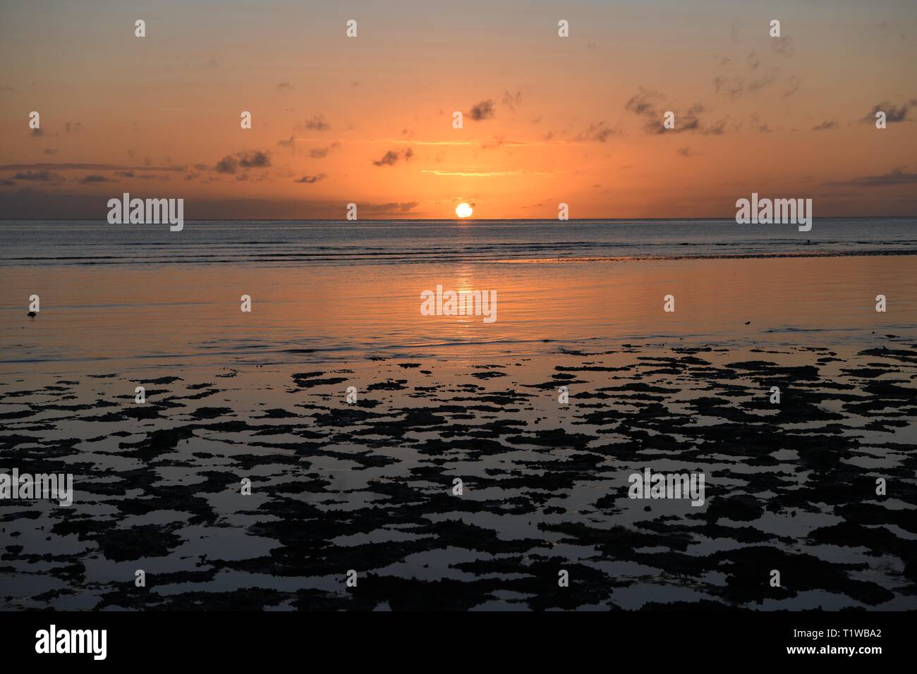 Quirimba Island, Quirimbas Archipelago, Mozambique, East Africa Stock ...