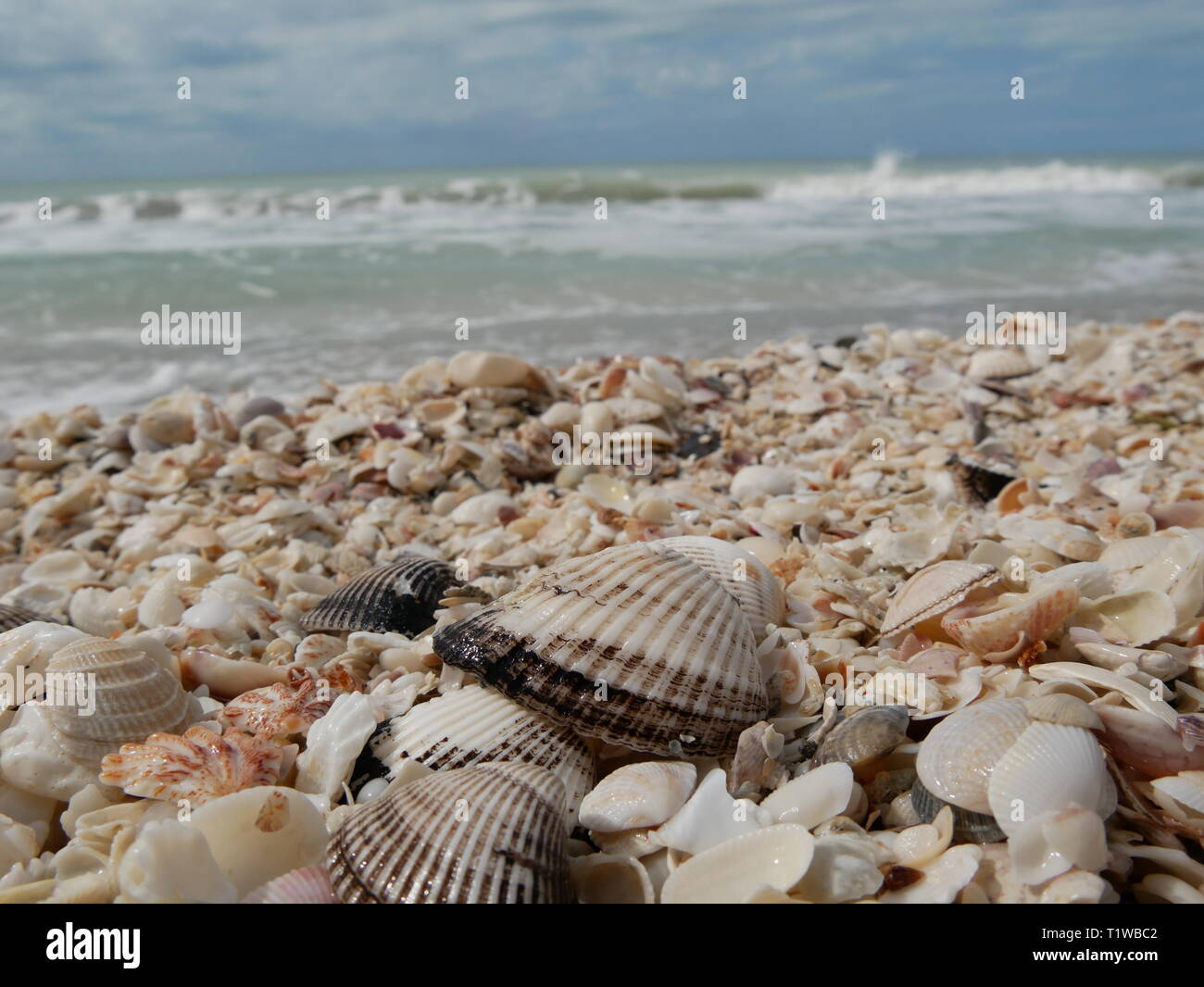 Milano marittima italy hi-res stock photography and images - Alamy