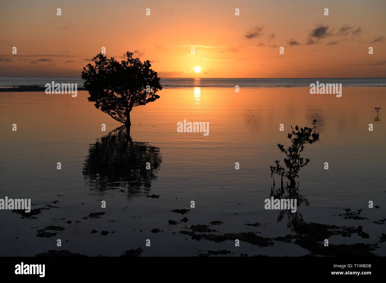 Quirimba Island, Quirimbas Archipelago, Mozambique, East Africa Stock ...