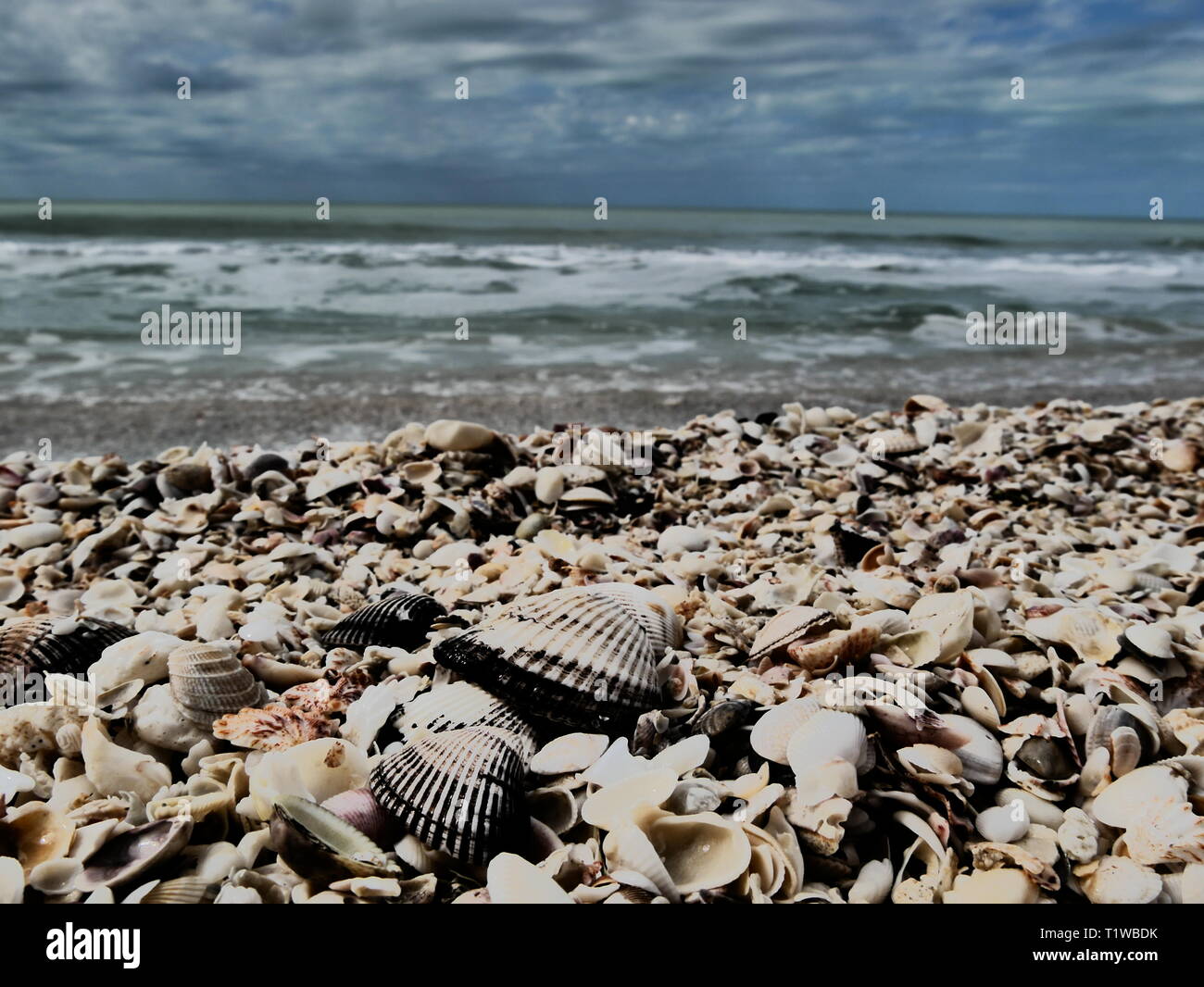 Retro beach illustration hi-res stock photography and images - Alamy