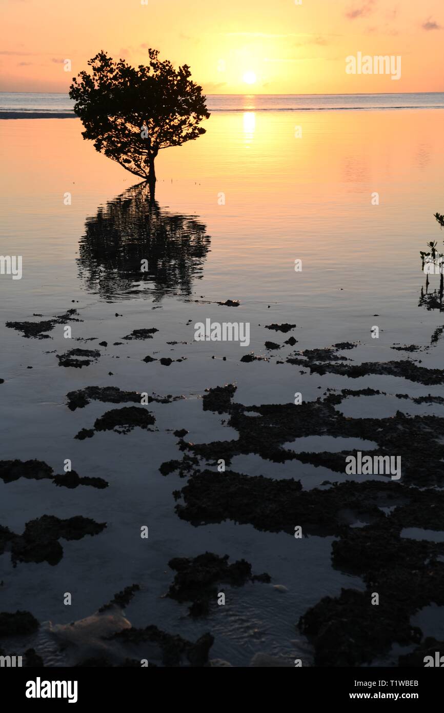 Quirimba Island, Quirimbas Archipelago, Mozambique, East Africa Stock ...