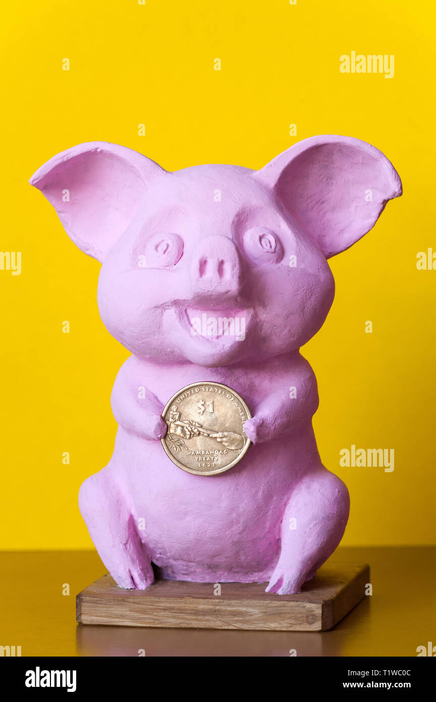 Pink Pig holding gold coin. Pig with dollar on a yellow background ...