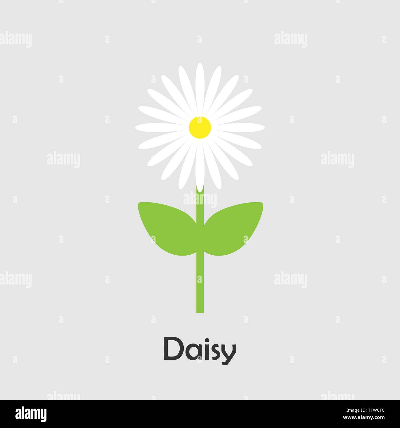 Preschool Outline Daisy