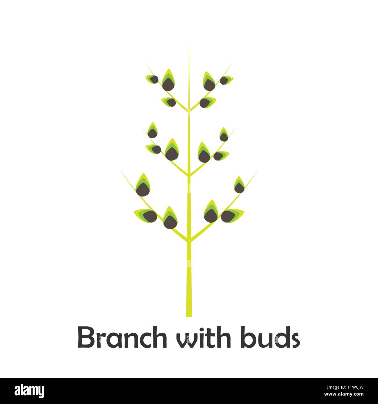Branch with buds in cartoon style, spring card for kid, preschool ...