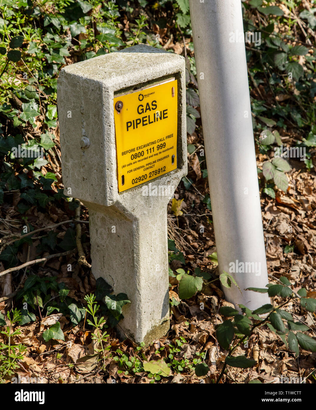 Gas pipeline sign by the roadside, Trow Hill, Sidmouth, Devon, UK Stock ...