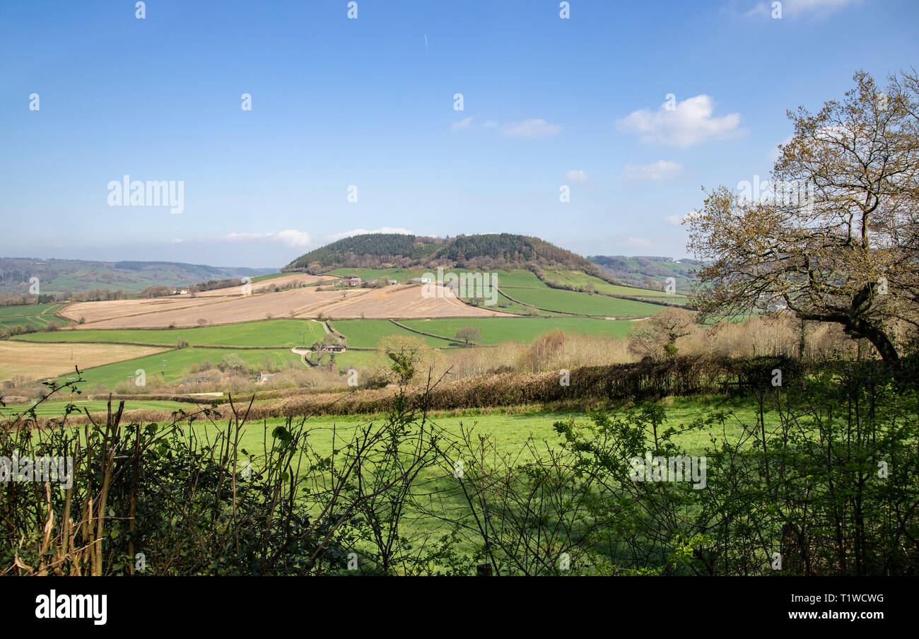 Trow hi-res stock photography and images - Alamy