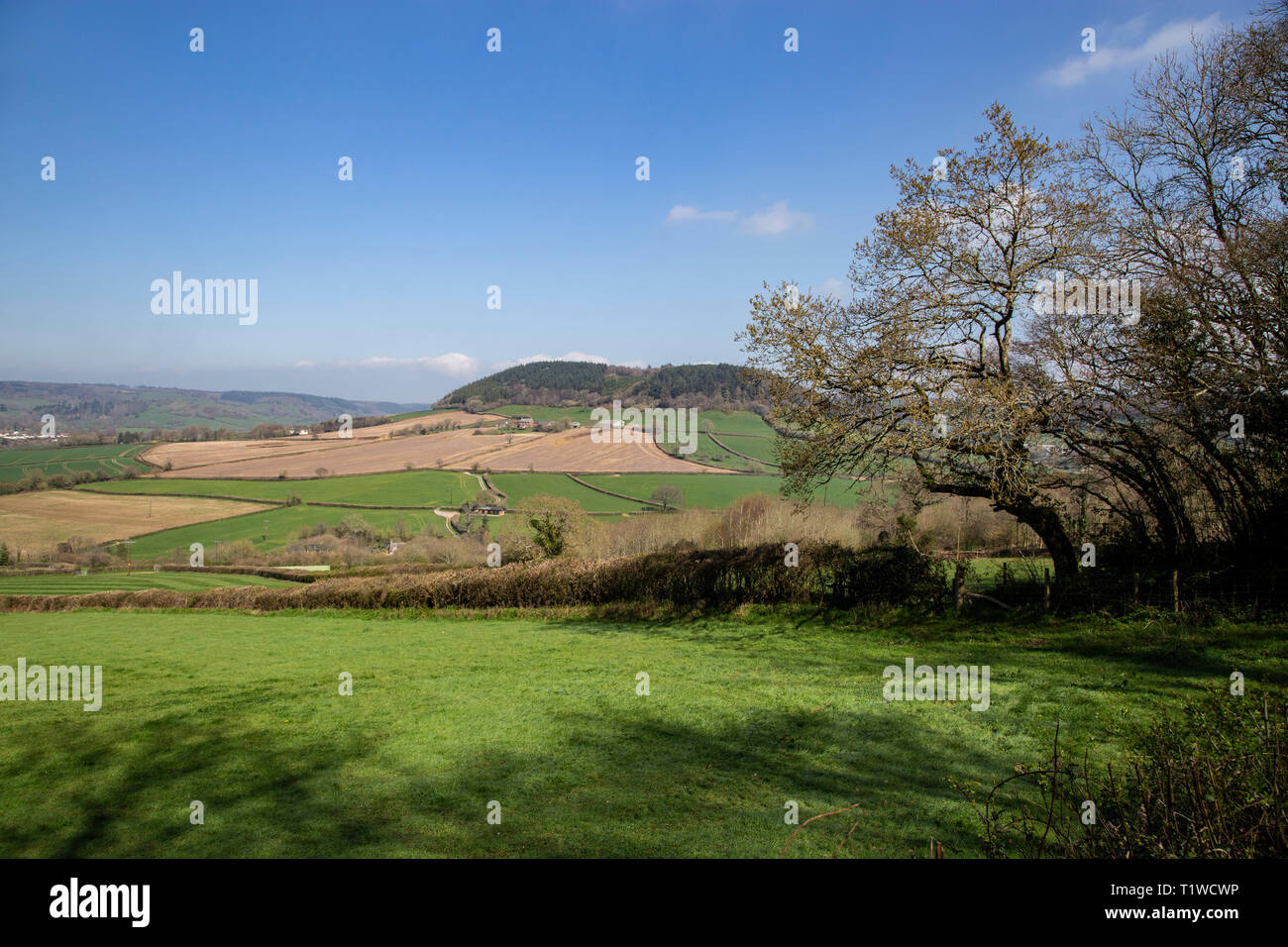 Buckton hi-res stock photography and images - Alamy