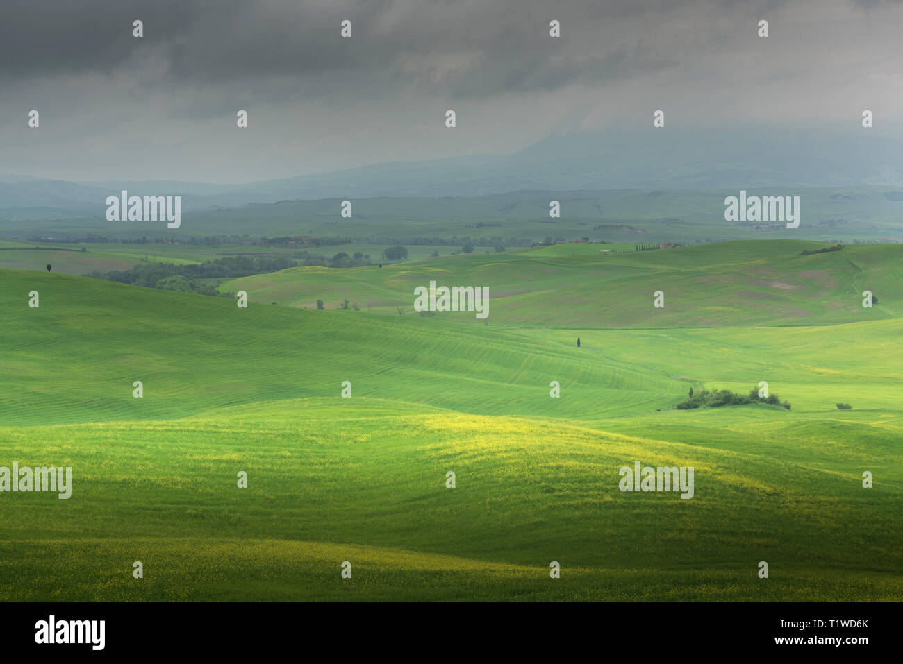 Panoramic view of a spring day in the Italian rural landscape Stock ...