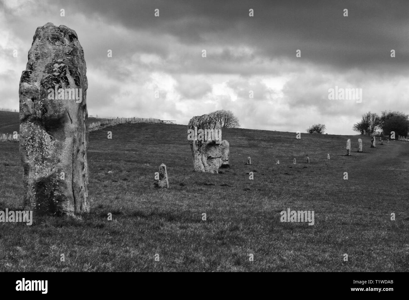 Avebury stone circles and the Avenue standing stones Stock Photo - Alamy